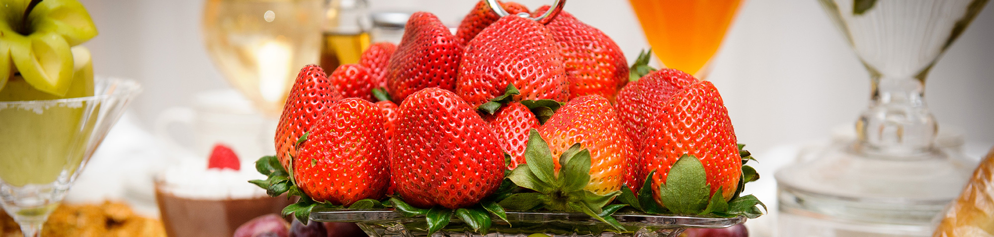 Basic Catering in Gaithersburg and D.C. | Mr. Omelette Caterers